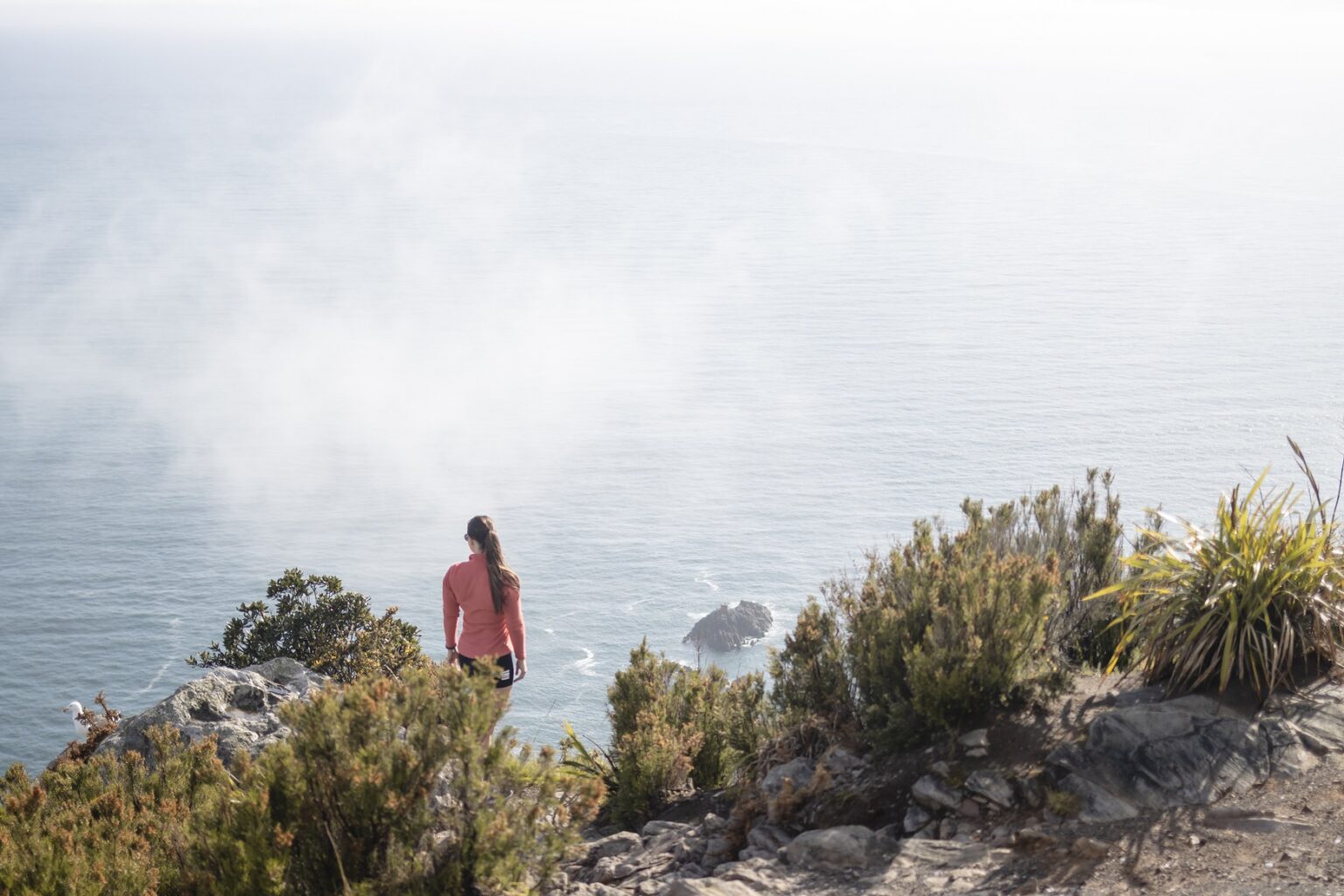 5 Fun Things to do in Mt Maunganui
